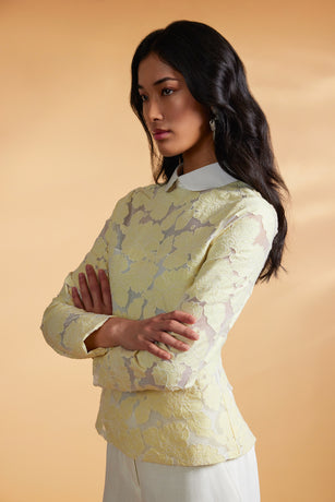 Sasha+Z: Premium women and girls fashion – SashaandZ